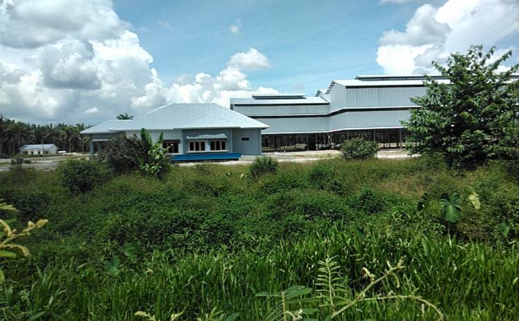 PT. ASA Diduga Langgar Perda RTRW Pemkab Labura, Imam Ali: Kami hanya ...